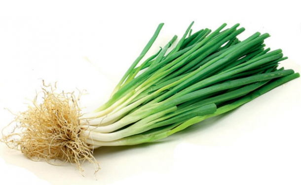 Como Plantar Cebolinho em Vaso- Feminina